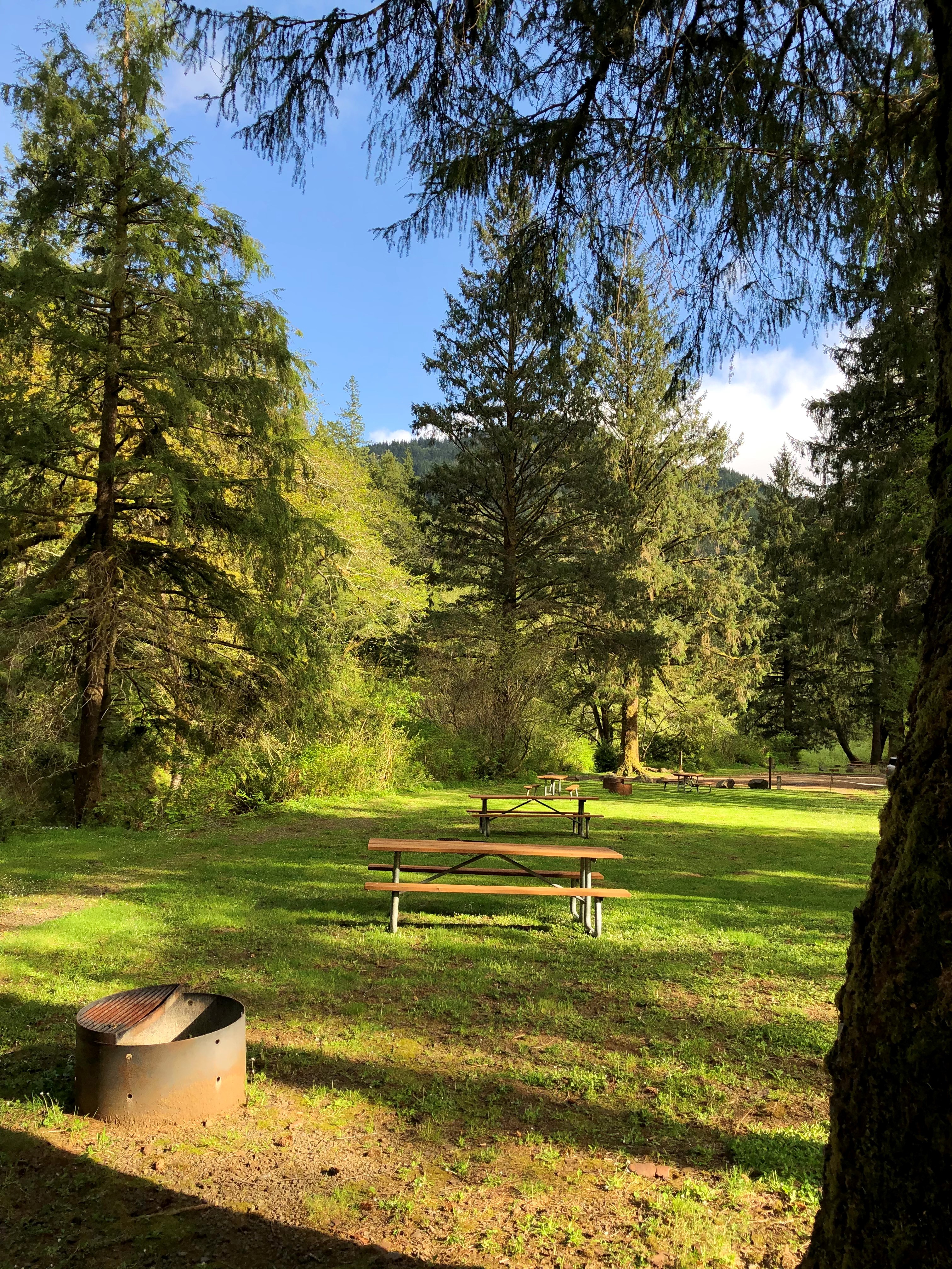 Day Use Areas | Tillamook County OR