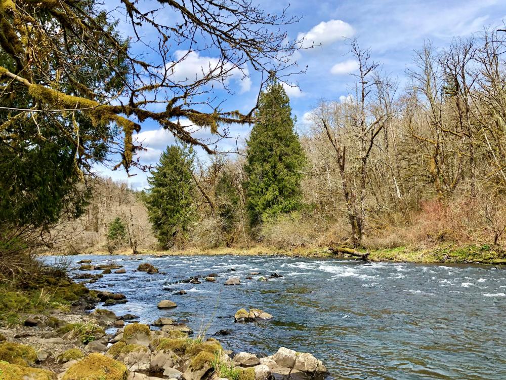 Trask River County Campground | Tillamook County OR