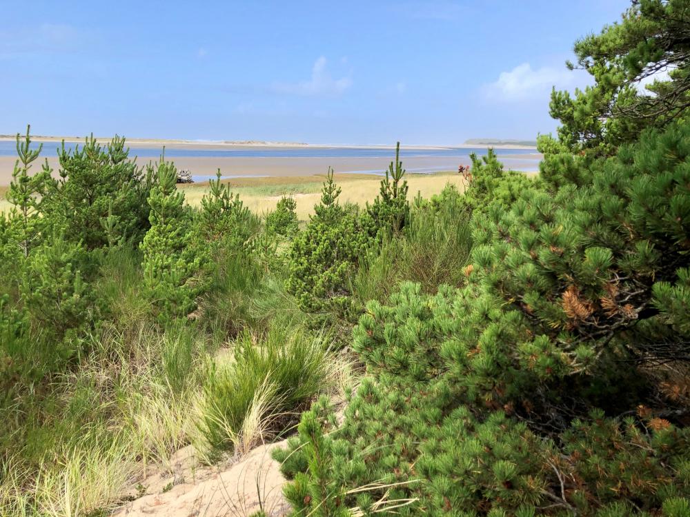 Whalen Island County Campground | Tillamook County OR